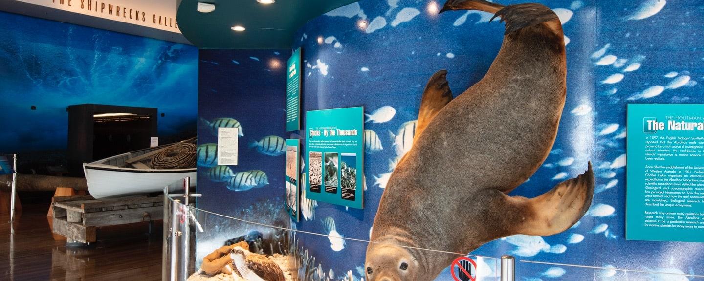 Museum of Geraldton | WAnderland | Western Australian Museum