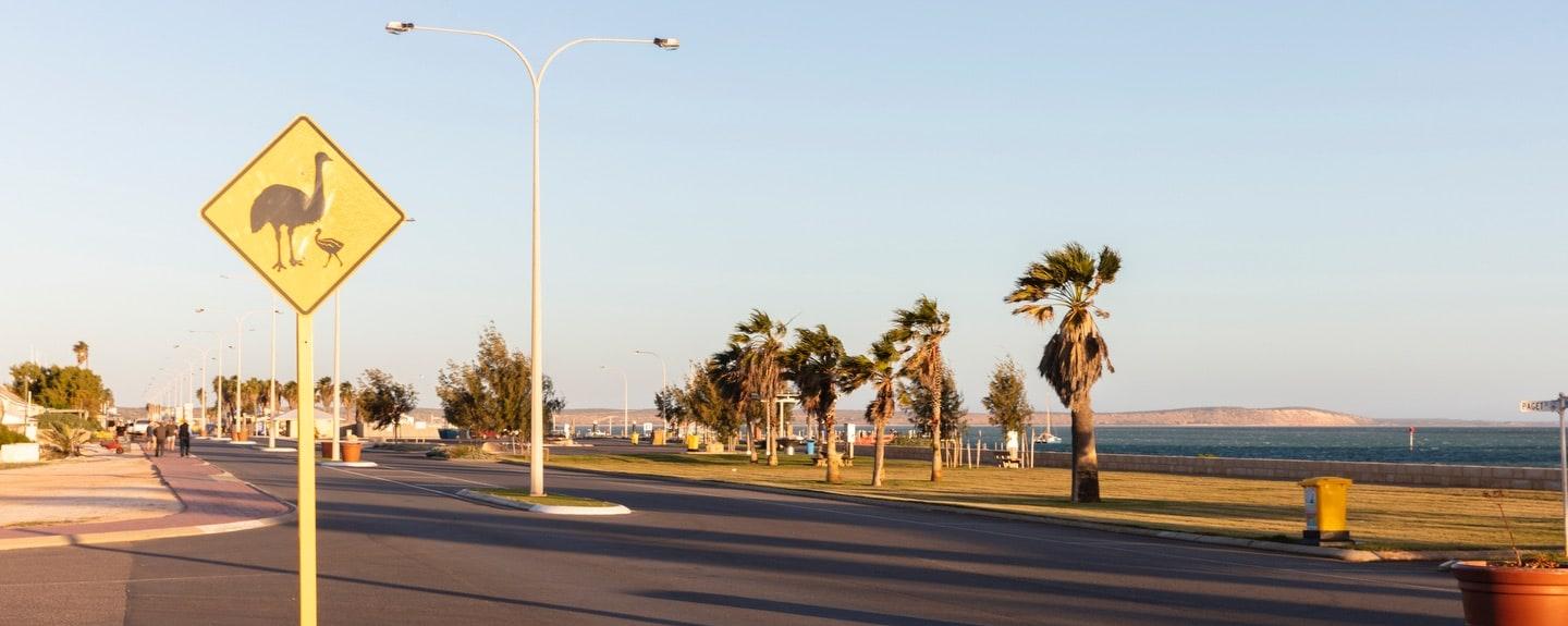 Shark Bay World Heritage Discovery and Visitor Centre | WAnderland ...