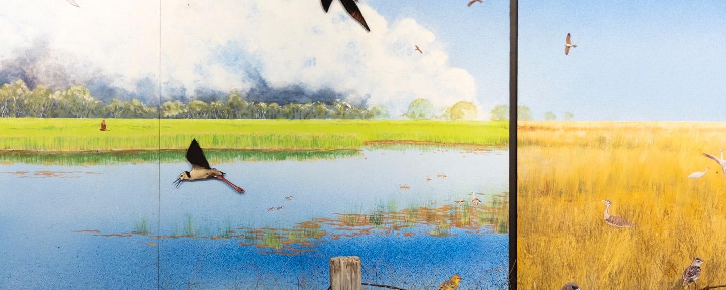 Broome Bird Observatory | WAnderland | Western Australian Museum