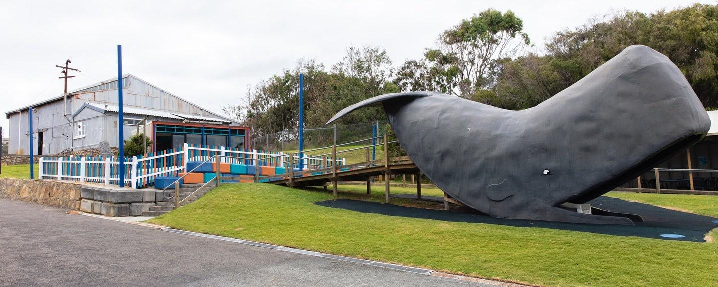 Albany's Historic Whaling Station | WAnderland | Western Australian Museum
