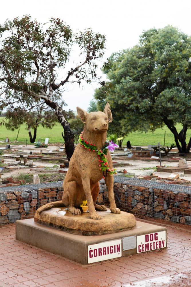 Golden Outback | WAnderland | Western Australian Museum