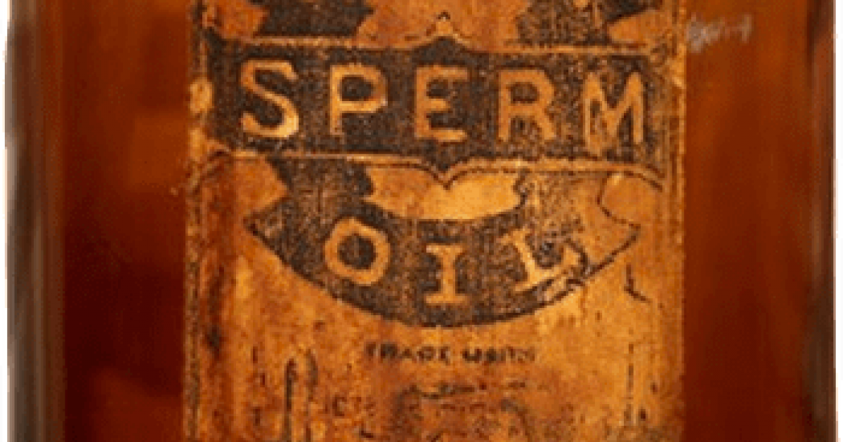 Whale oil | WAnderland | Western Australian Museum