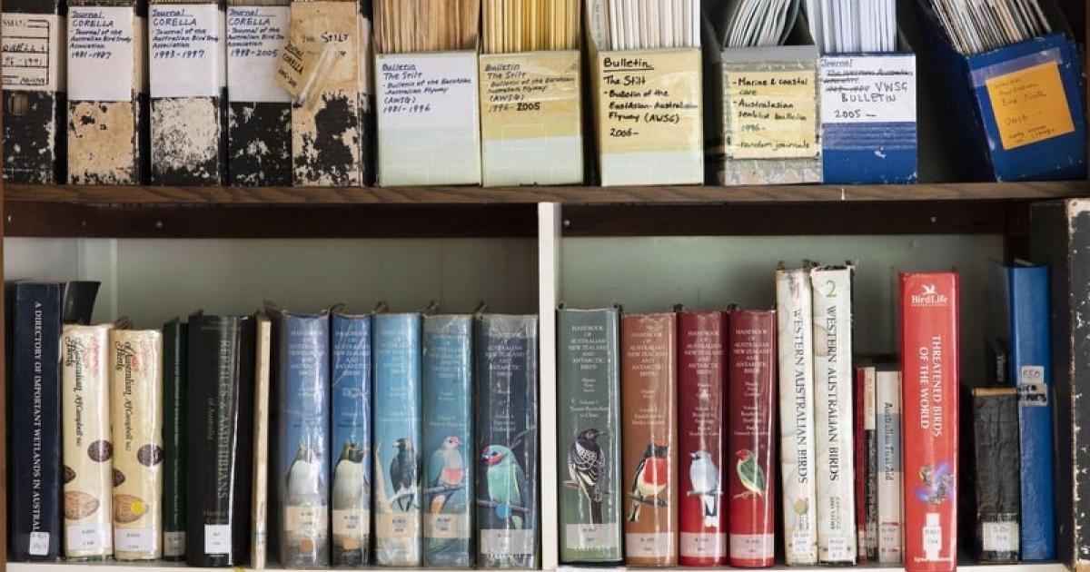 Bird Books | WAnderland | Western Australian Museum