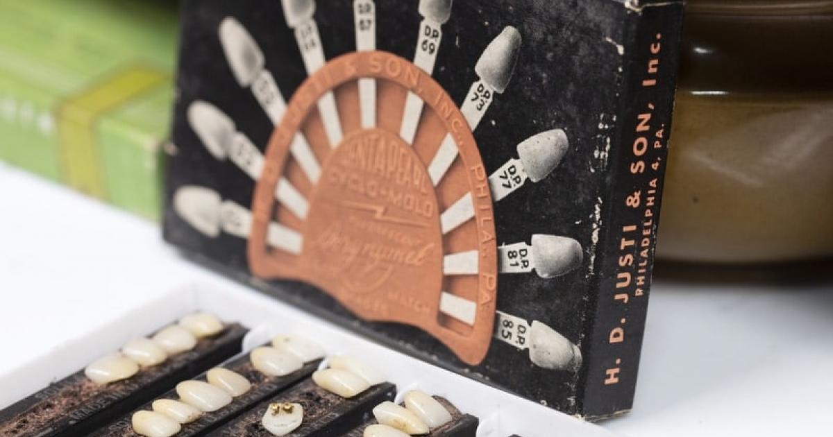 Dentist display | WAnderland | Western Australian Museum