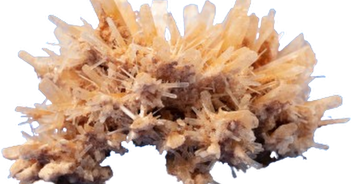 Gypsum crystal | WAnderland | Western Australian Museum