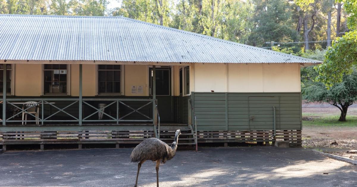 Donnelly River Village Museum | WAnderland | Western Australian Museum