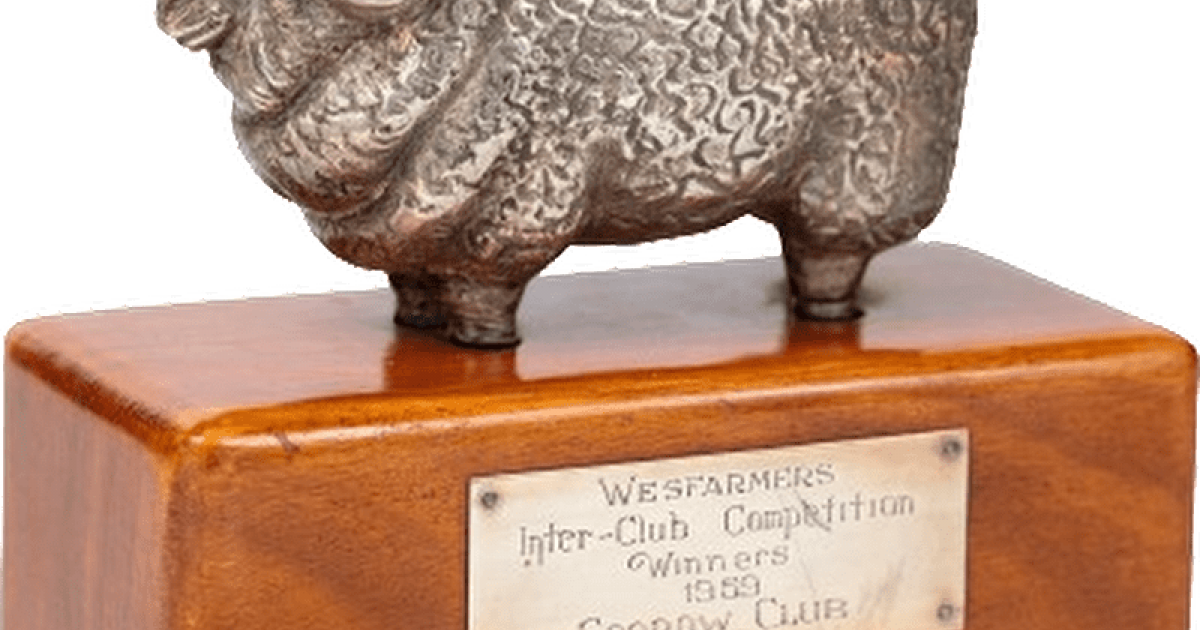 1959 ram trophy | WAnderland | Western Australian Museum