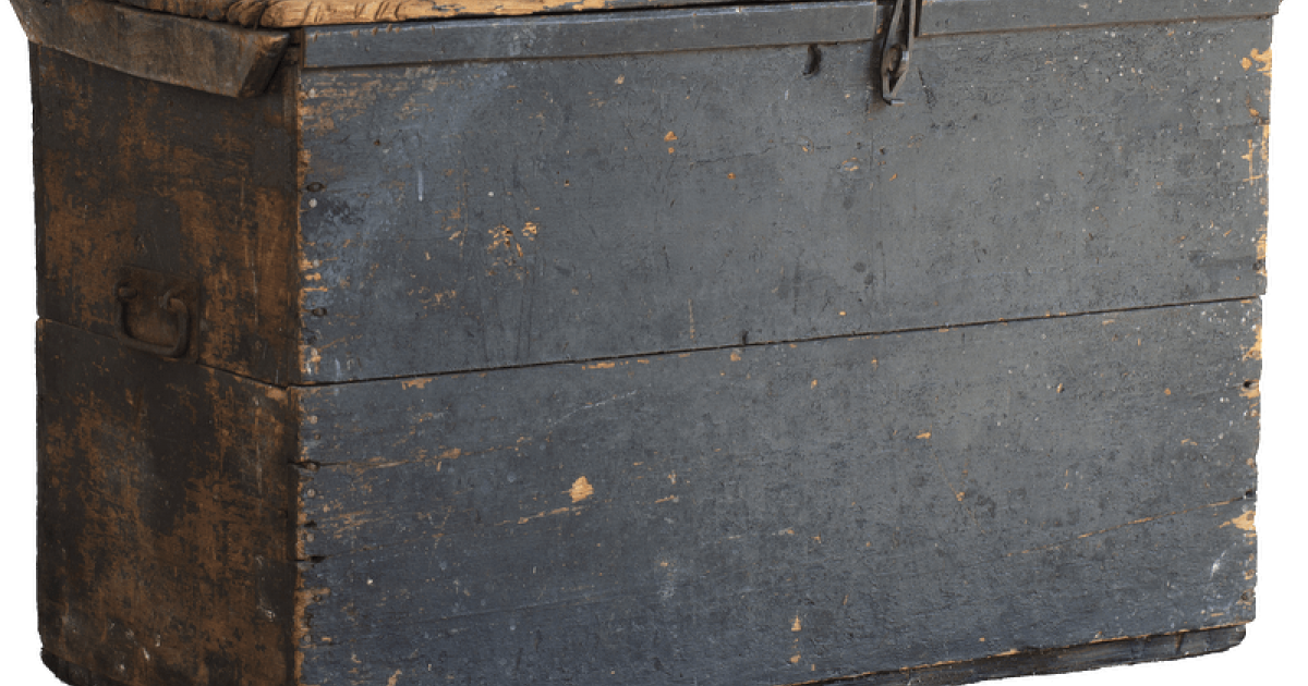 Trunk | WAnderland | Western Australian Museum