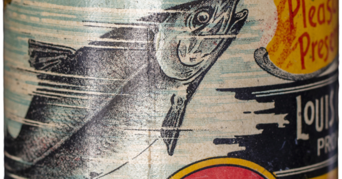 Fish tin | WAnderland | Western Australian Museum