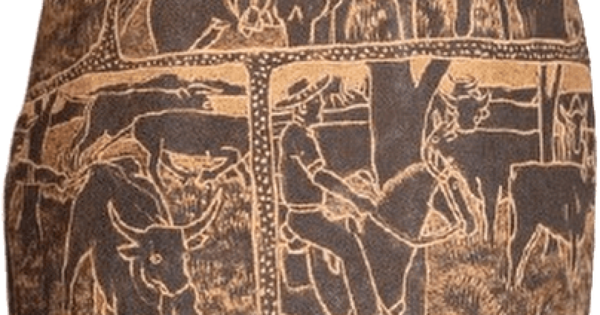 Carved boab nuts by Jack Wherra | WAnderland | Western Australian Museum