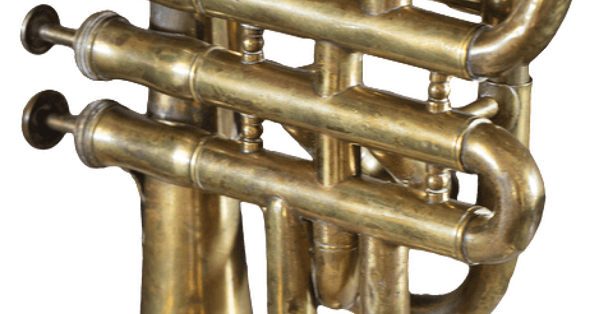 Brass Band | WAnderland | Western Australian Museum