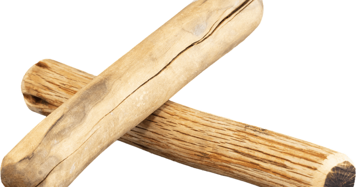 Clap sticks | WAnderland | Western Australian Museum