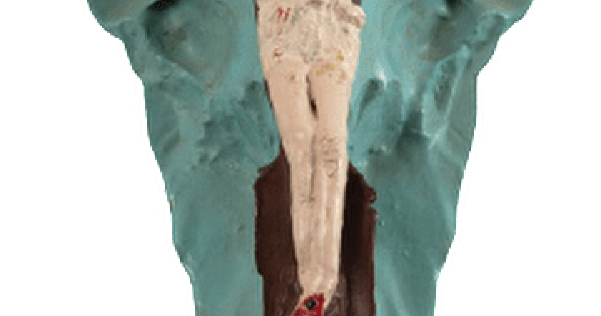 Catfish crucifix | WAnderland | Western Australian Museum